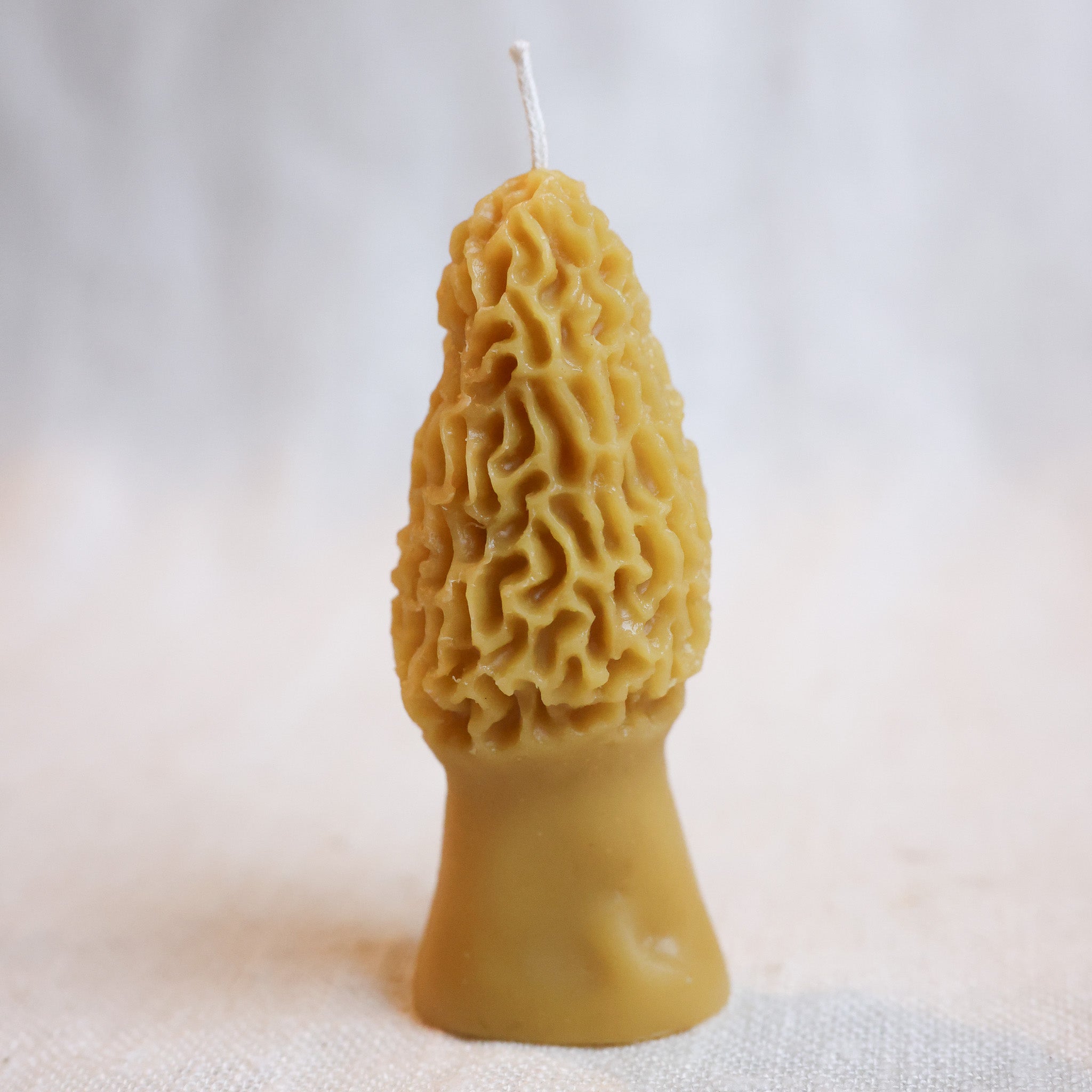 Large Morel Mushroom – Wild Hive Love